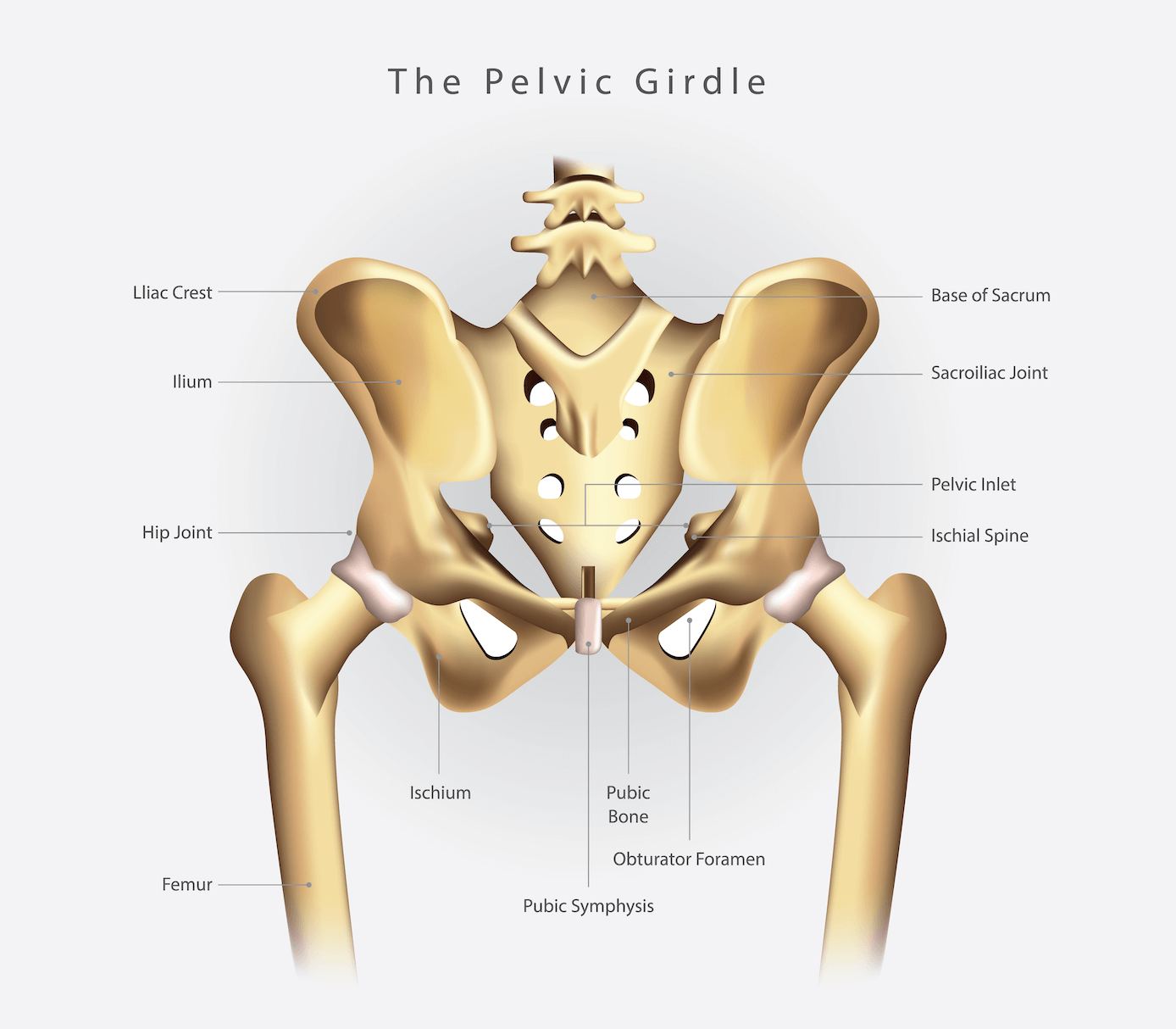 Hip Pain Map: Pinpointing Where Your Hip Hurts & Why